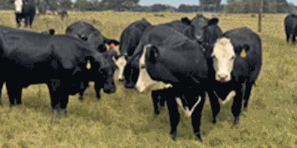 Listings Cattle Range