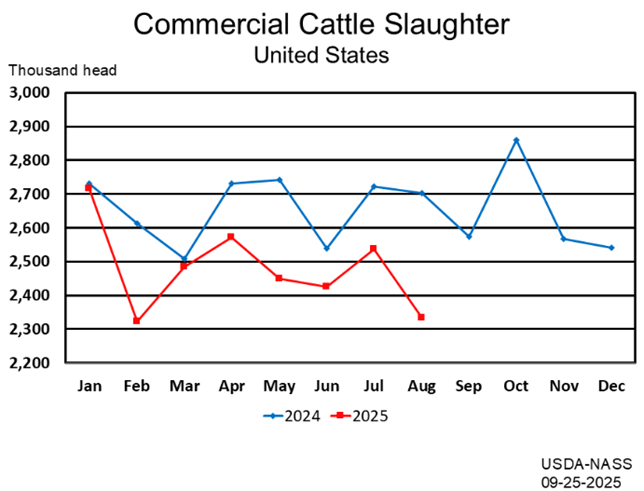 Chart of the Week Cattle Range