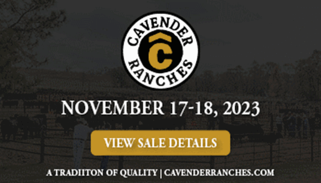 The Herd Rebuilding Challenge Cattle Range